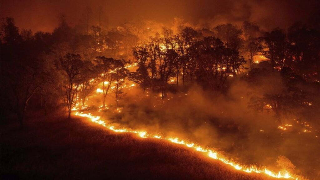 În România, cele mai frecvente incendii de pădure apar în Parcul ...