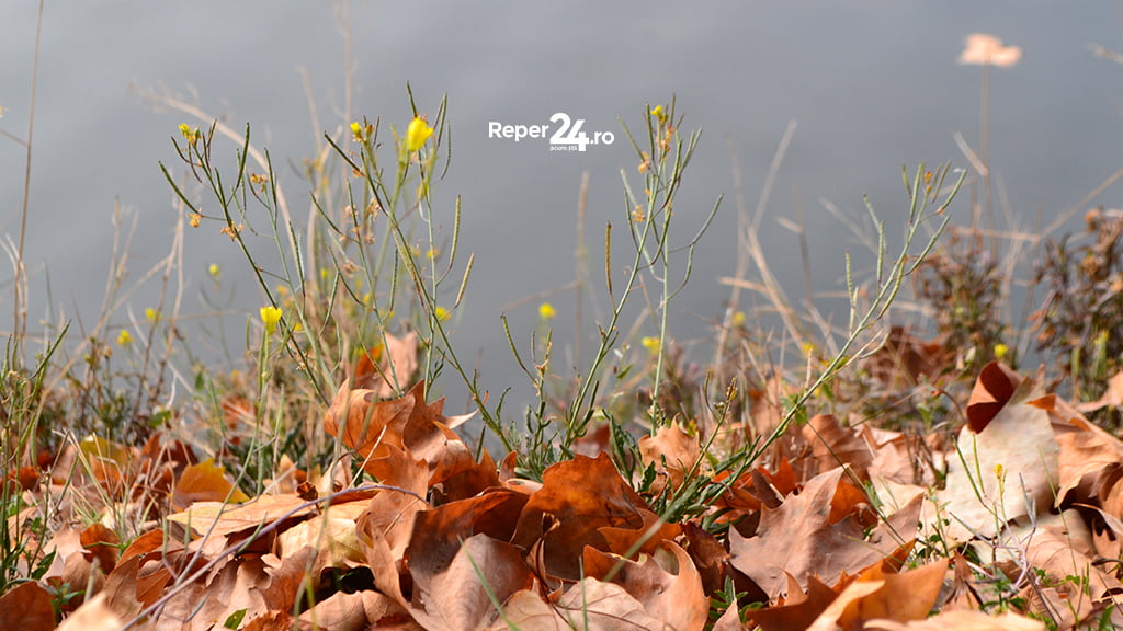 METEO: Cum va fi vremea la sfârșit de septembrie?